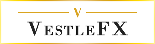 詐騙警報：VestleFX 被列入警告名單 - 金融委員會